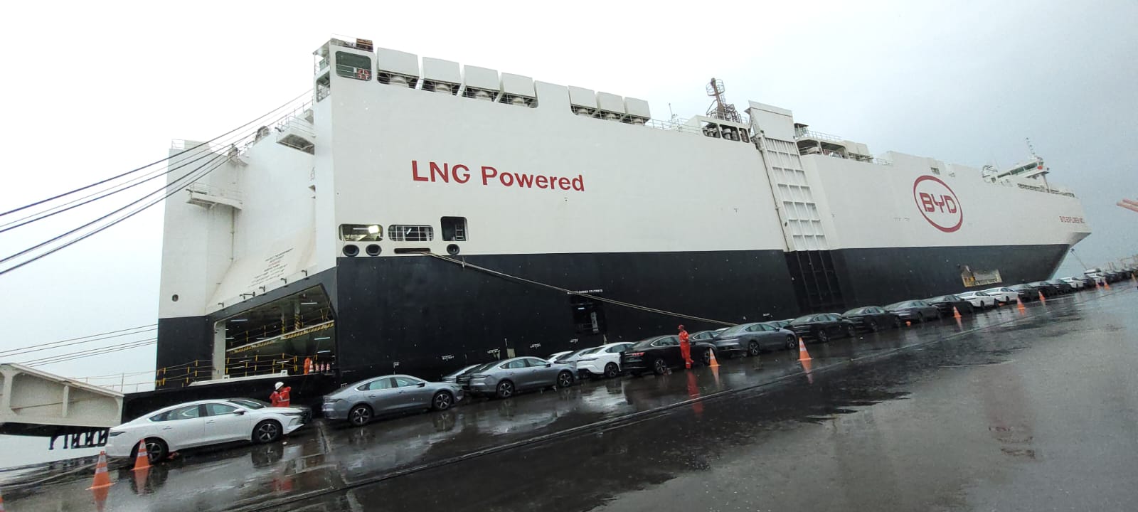 5,4 mil carros da BYD desembarcam em Suape, em navio próprio da greentech