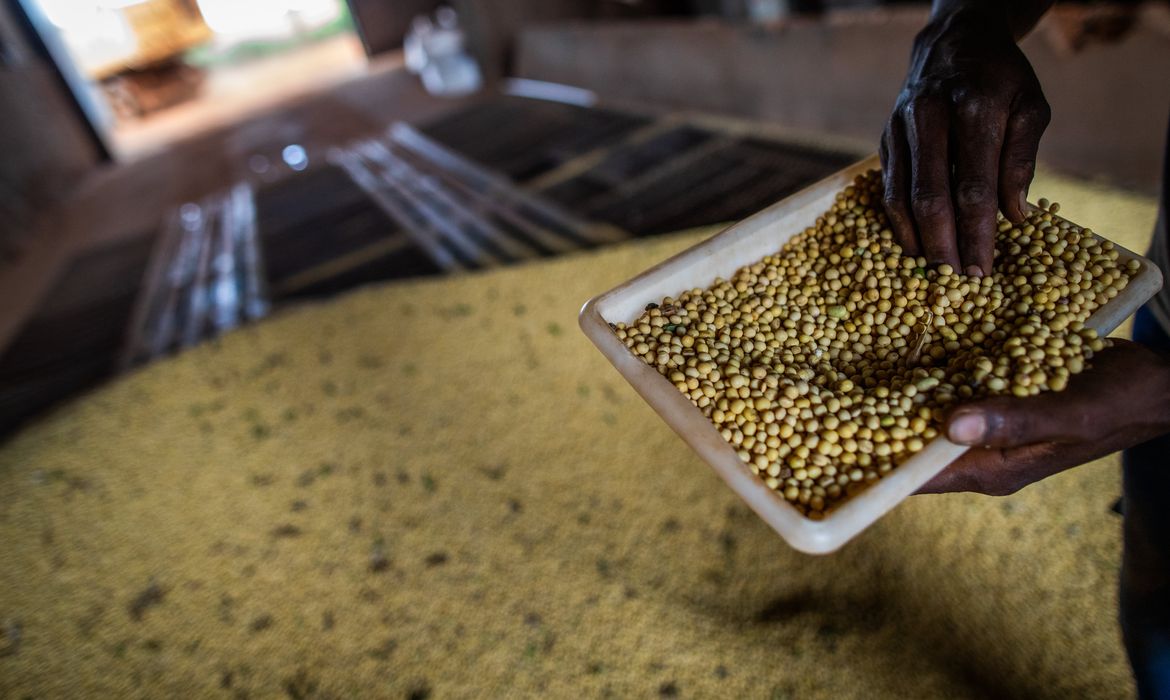Com Bahia em destaque, Matopiba domina o PIB agrícola do Nordeste