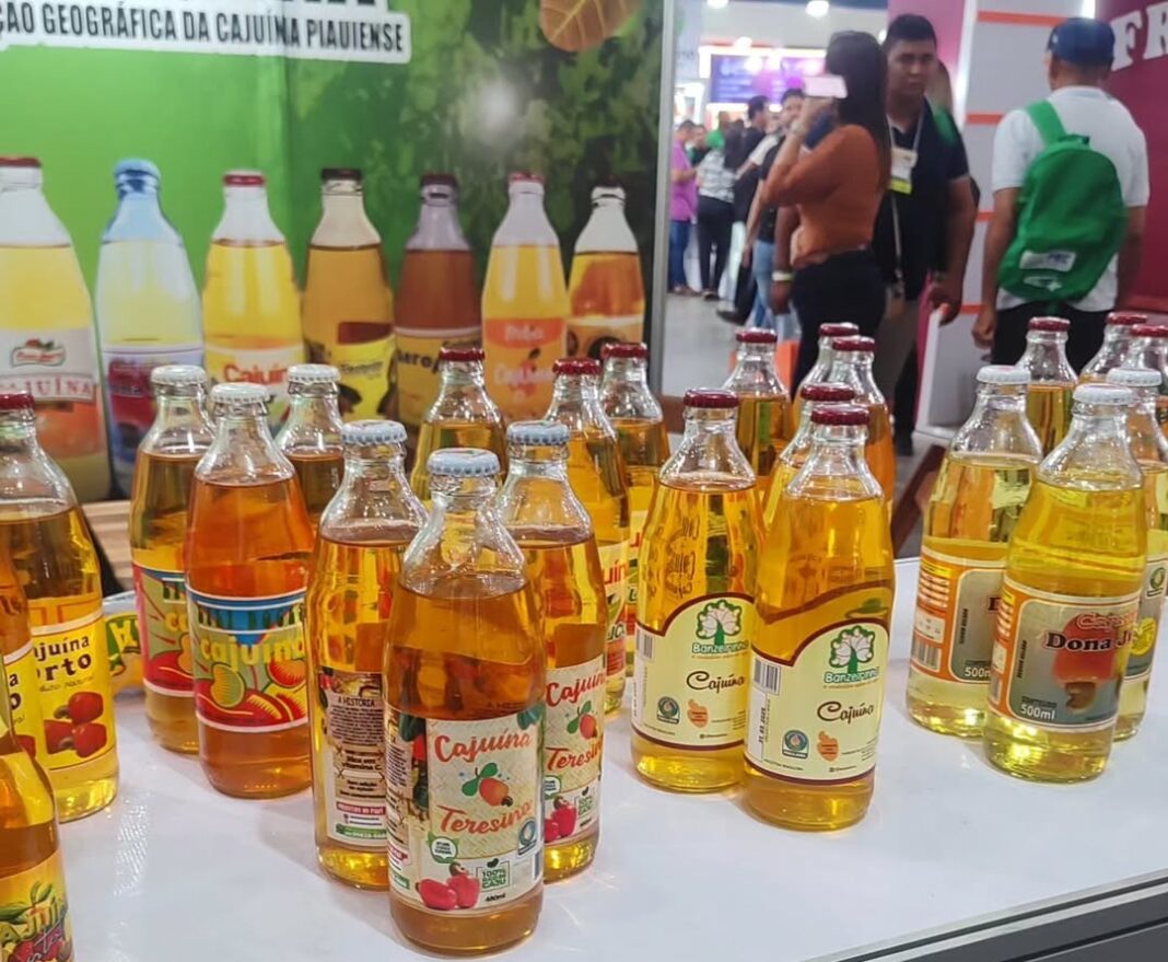 Cajuína piauiense mira modelo gaúcho do suco de uva para conquistar o ...